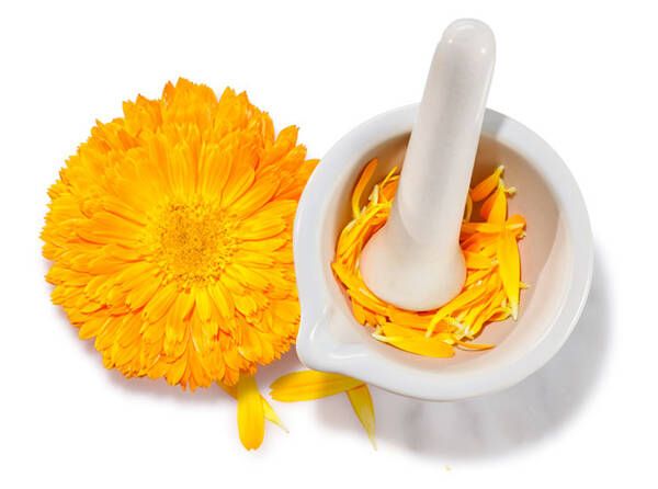 The Benefits of Calendula in Skincare | Kiehl's New Zealand